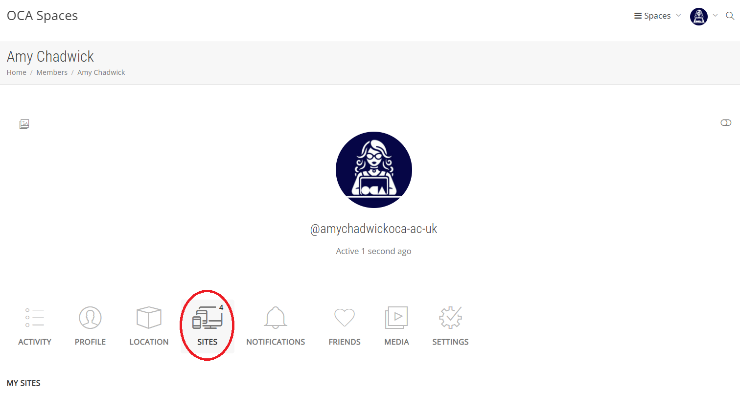 How can I navigate the OCA Spaces Interface? – Open College of the Arts